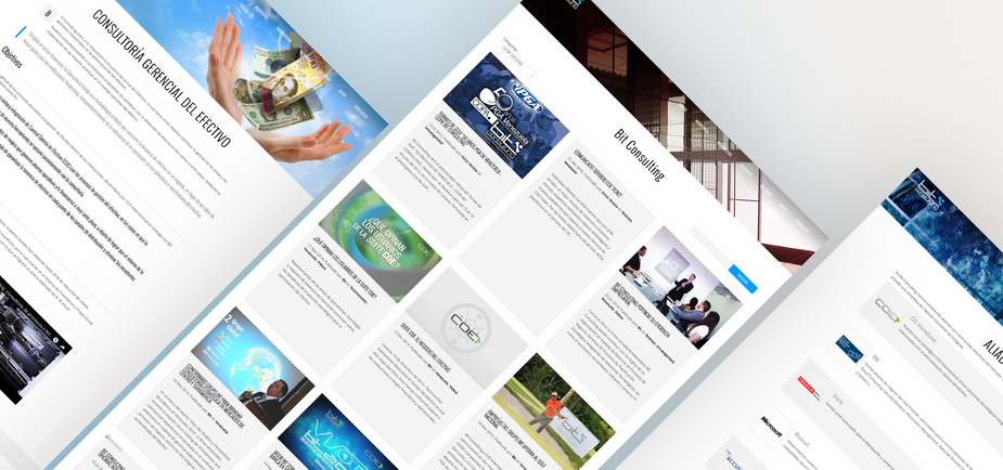 Bit Consulting Website | LogosCorp