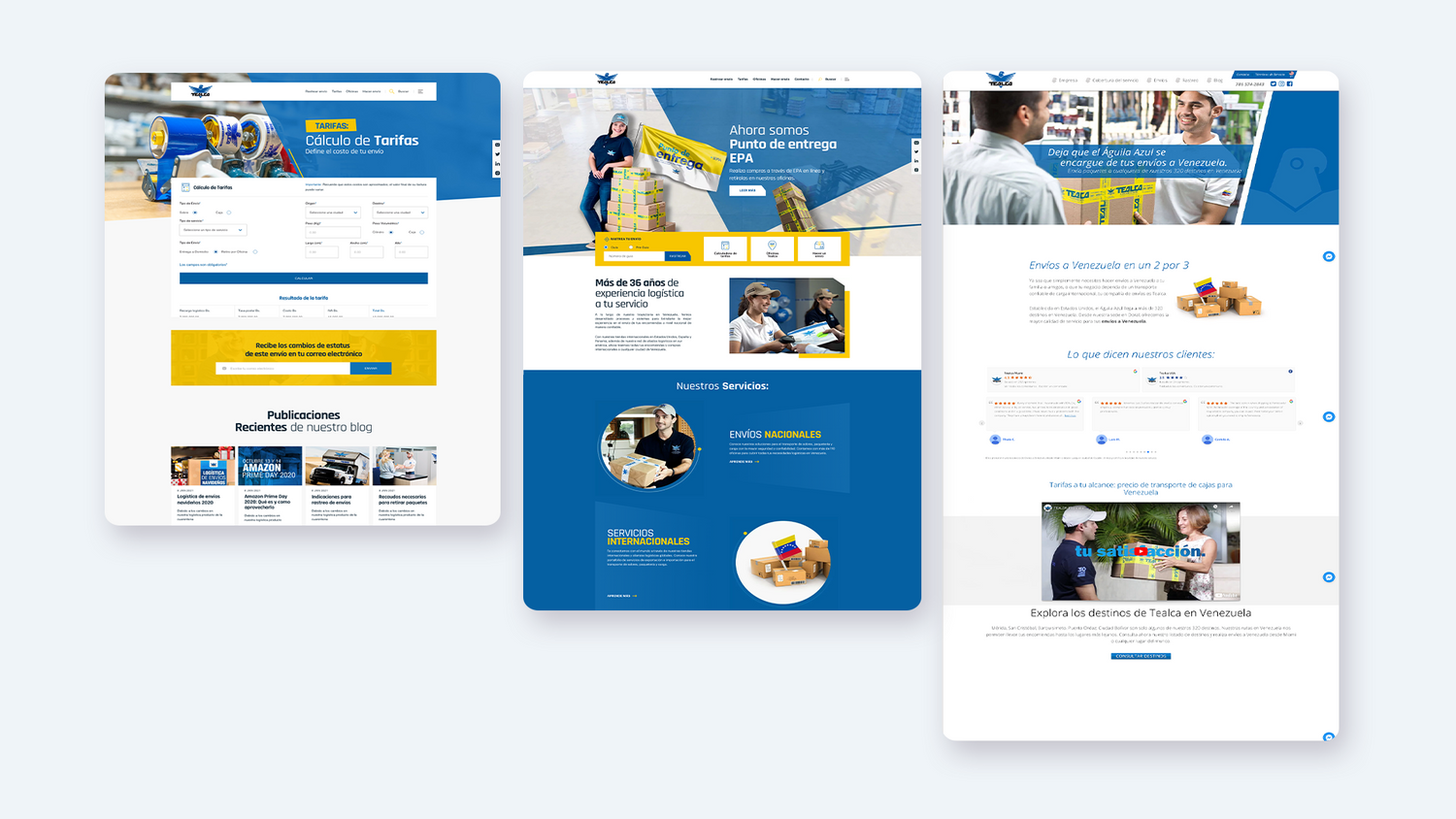Tealca Portal Web | LogosCorp
