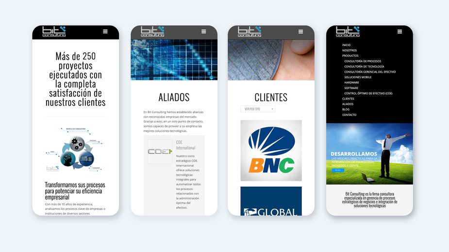 Bit Consulting Portal Web | LogosCorp